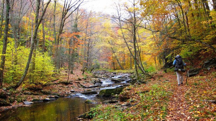 12 Camping Spots In West Virginia That Deserve A Visit | RVshare