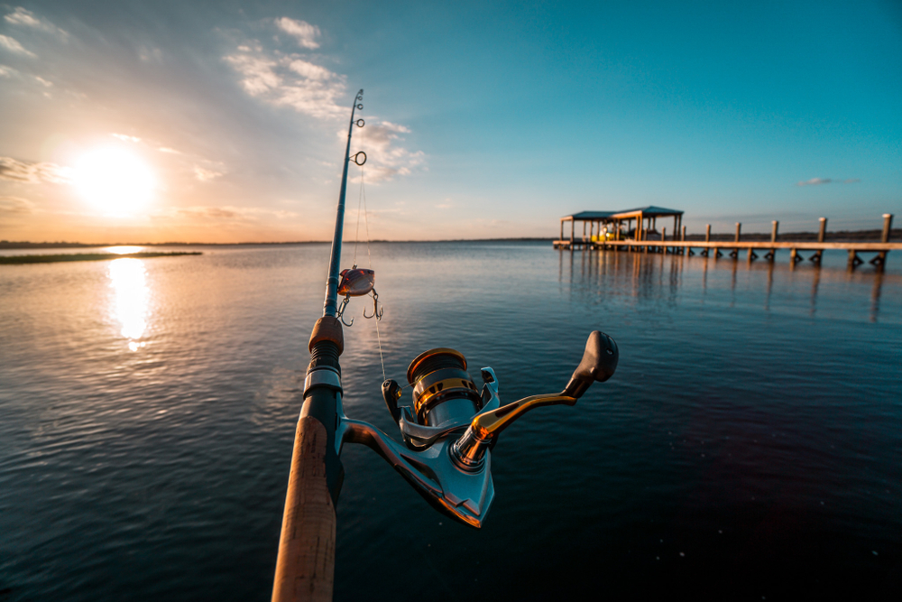 Top 7 Fishing Spots in Florida| Fishing Camping in Florida
