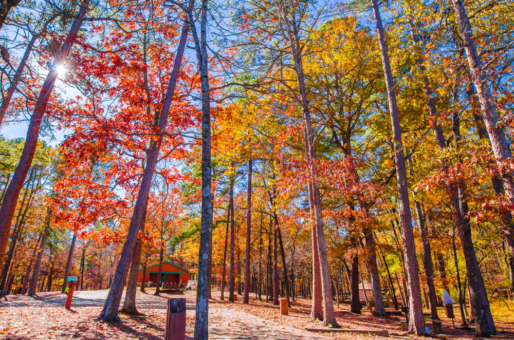 Top 5 Luxury Camping Spots in Arkansas | Luxury Camping in Arkansas